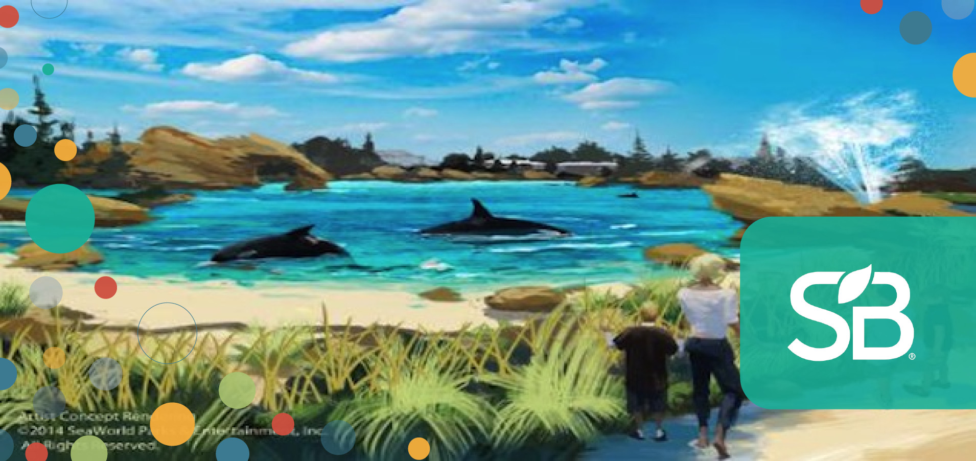 SeaWorld Doubling Size of Whale Environments After Documentary Ruins ...