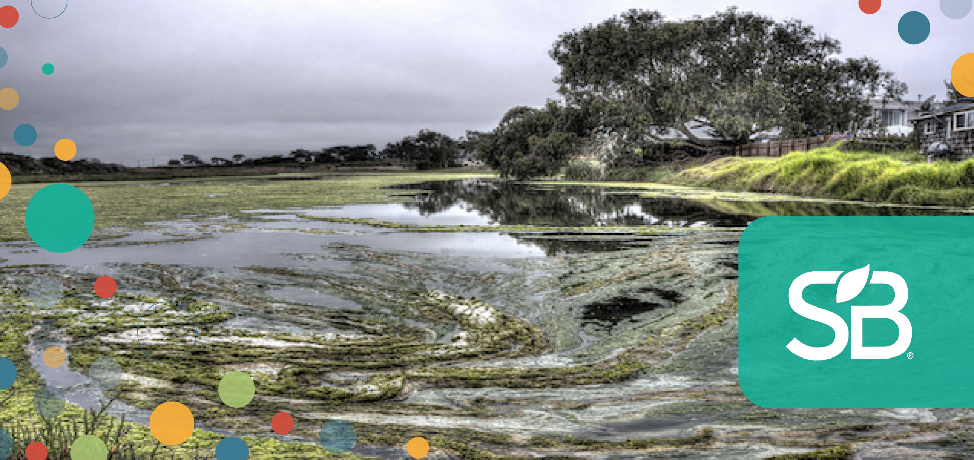 New Algae Process Turns Sewage Into Biofuel and Drinking Water