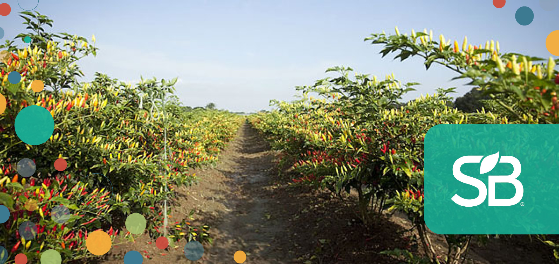 7 Reasons Companies Need Natural Asset Portfolios