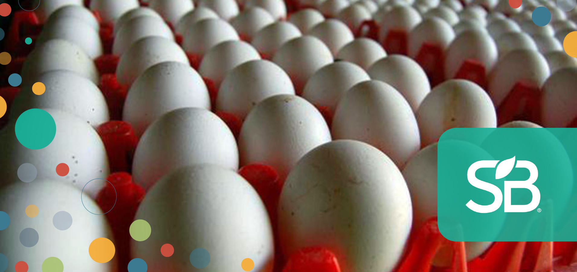 Perdue Foods Sets New Standard for Antibiotic-Free Chicken