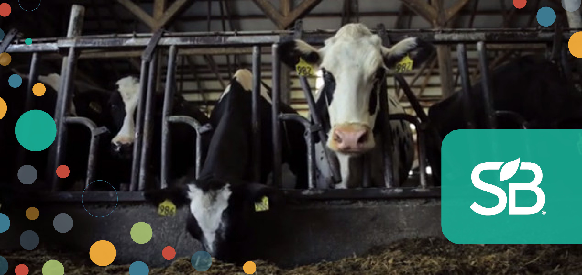 How Ben & Jerry's and NativeEnergy Helped a Vermont Dairy Farmer Turn ...