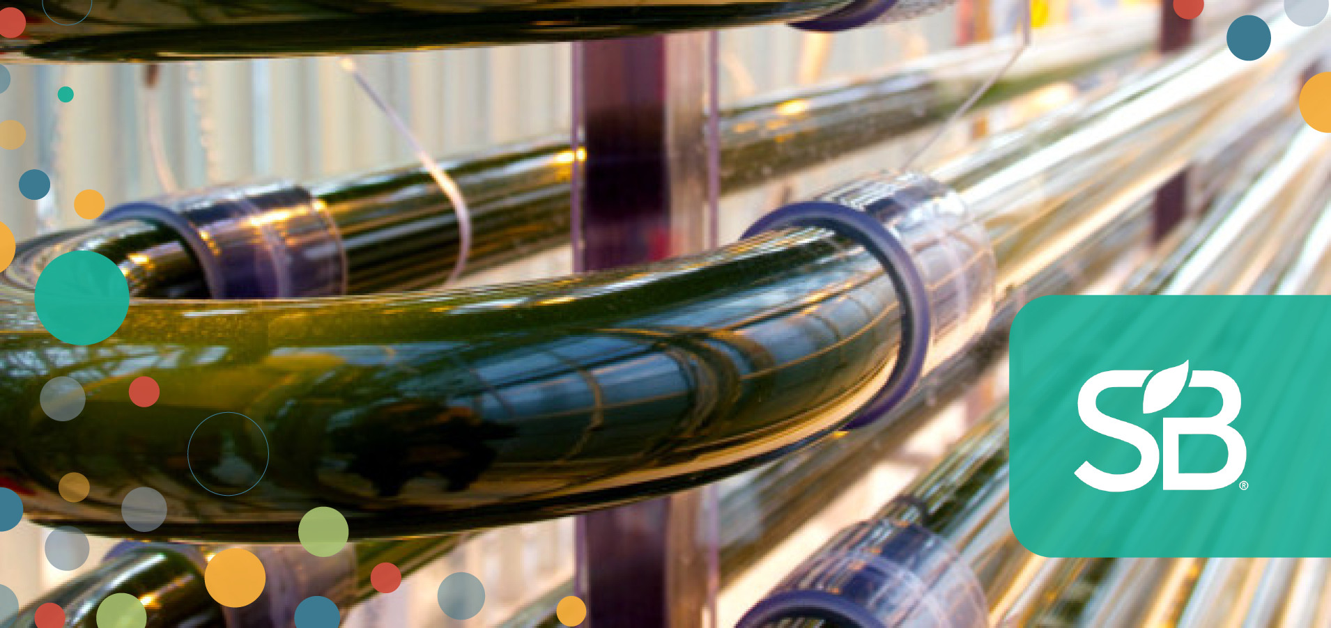 AkzoNobel, Photanol Developing Bio-Based Chemical Compounds Through ...