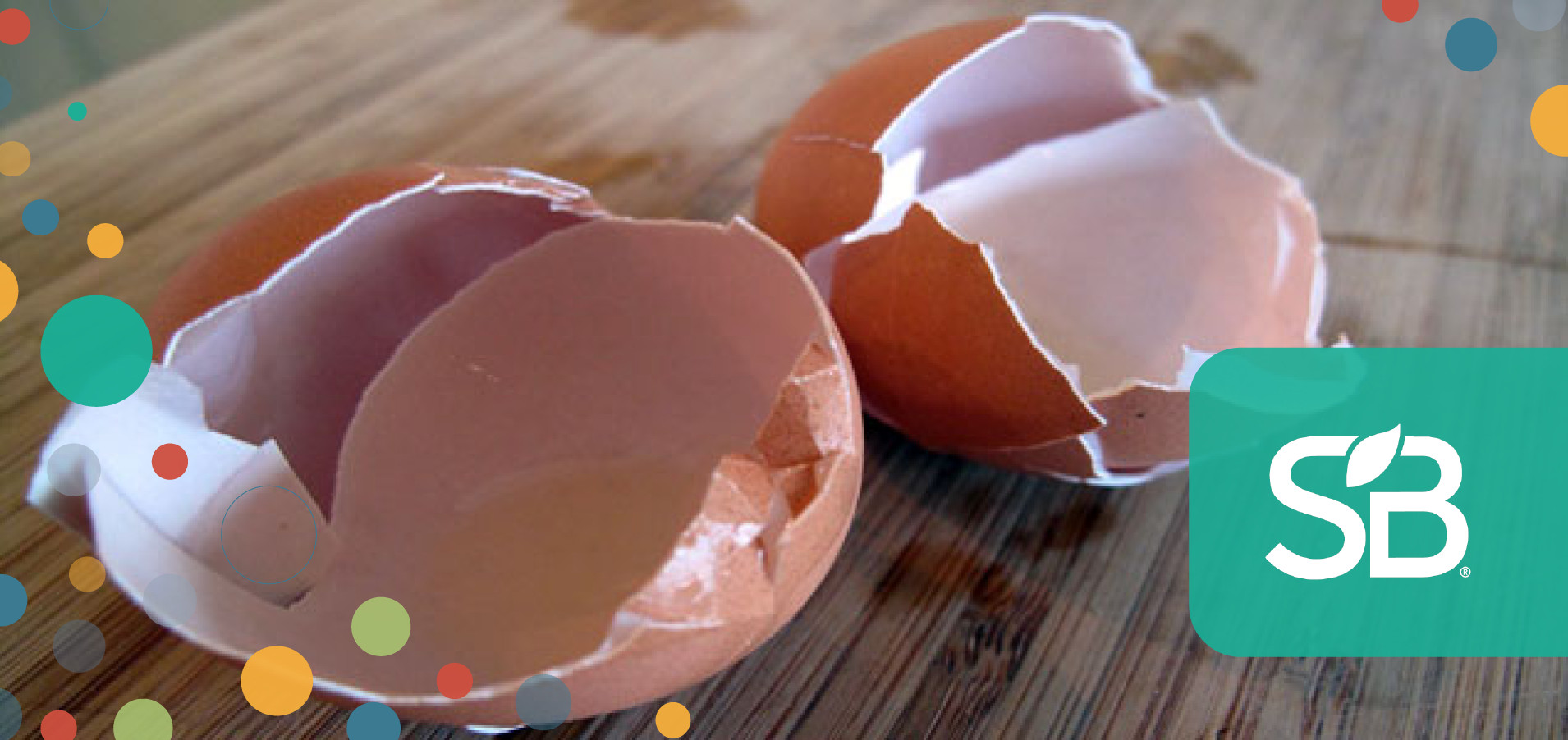 UK Researchers Make Eggshells into Bioplastic