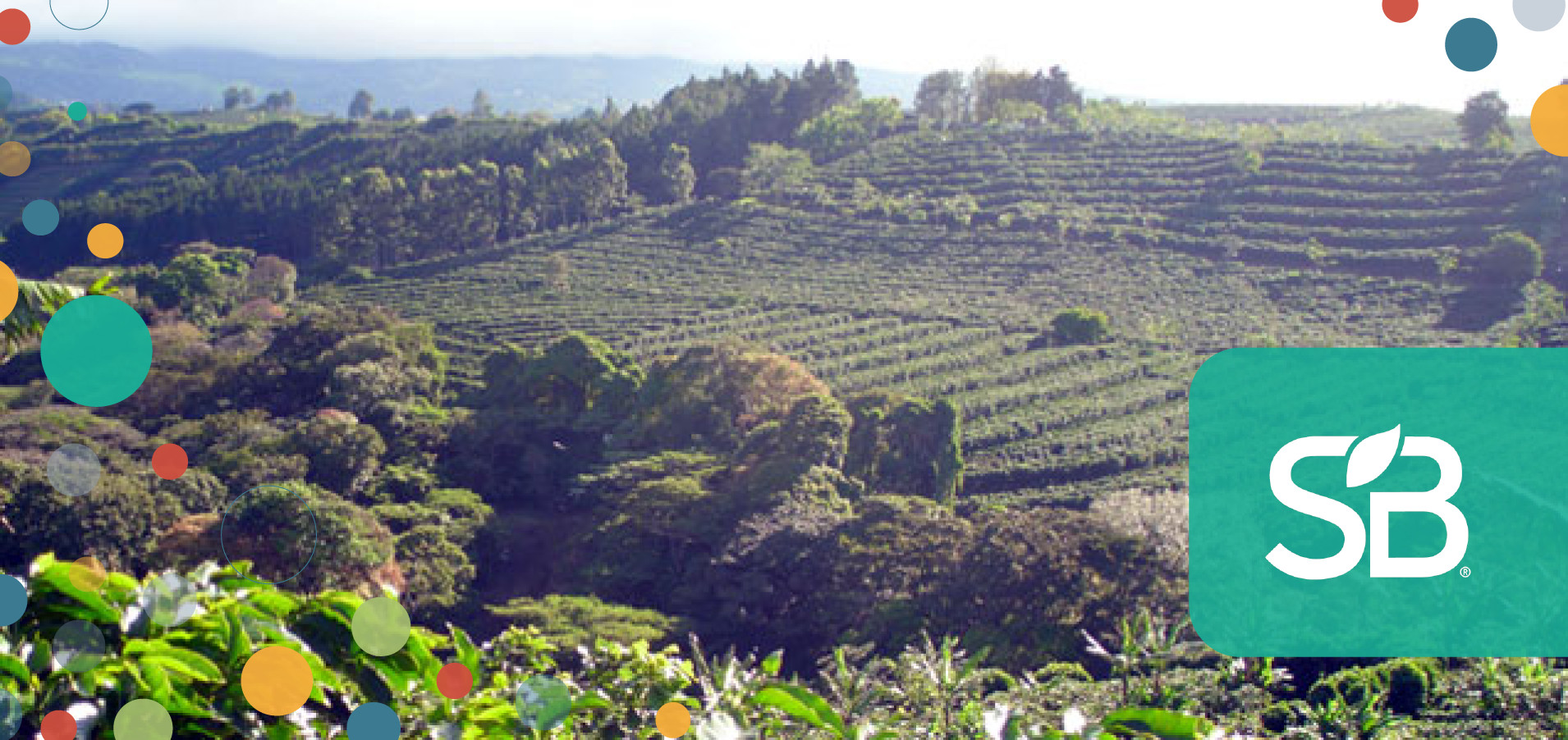 Starbucks Expands Ethical Sourcing Efforts With New Global Agronomy Center