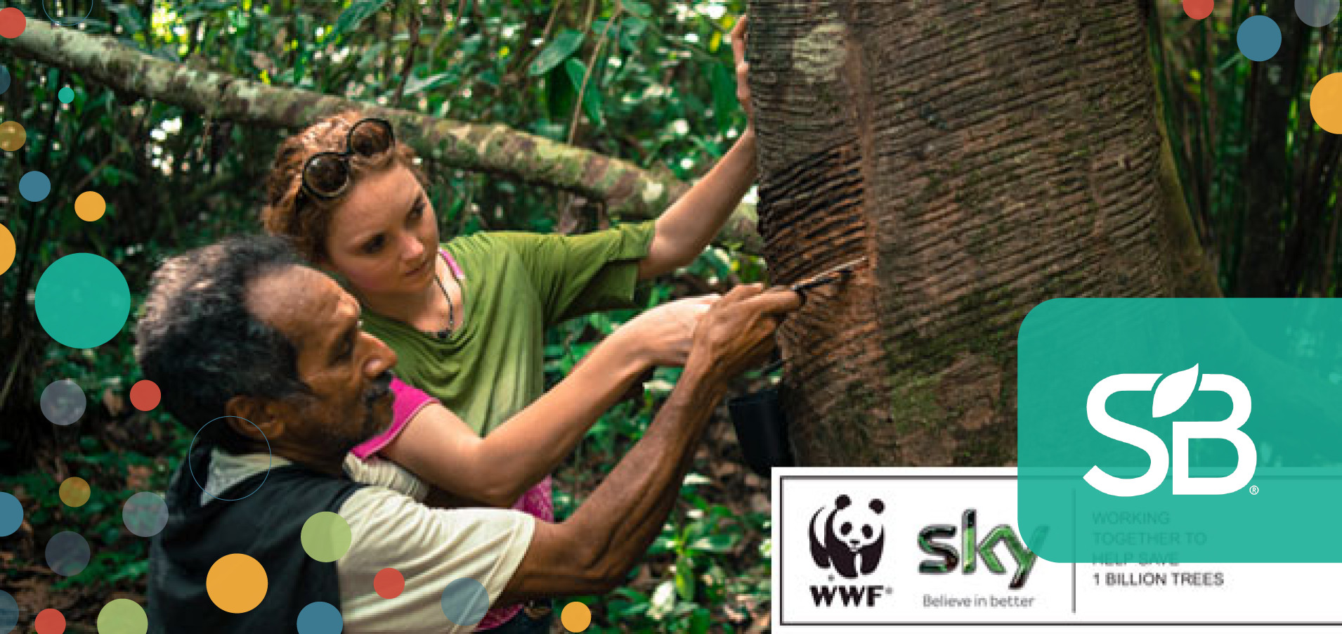 Sky Rainforest Rescue: Engaging Consumers to Purpose While Creating ...