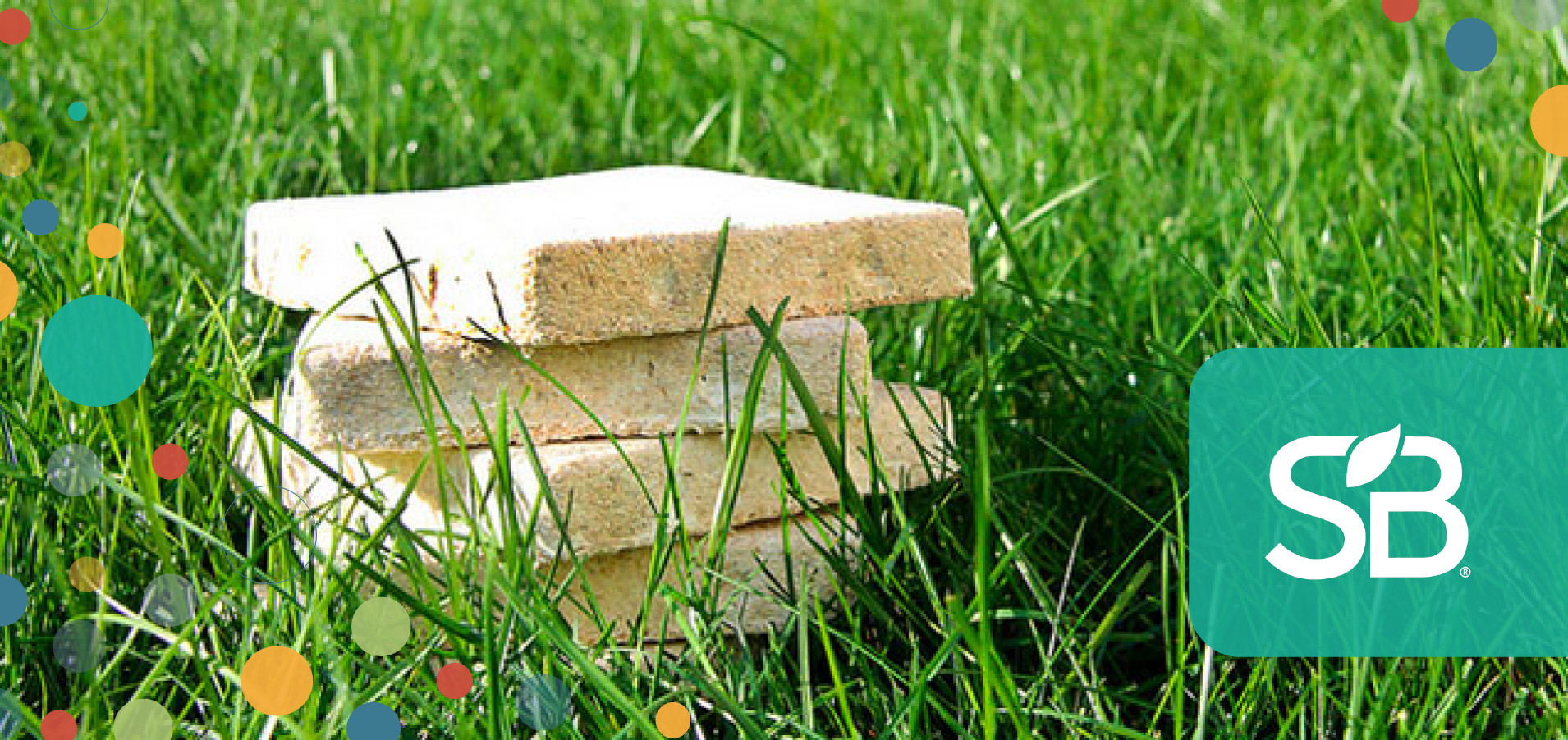 Ecovative Foraging Fungi to Displace Plastic Packaging, Setting Sights ...