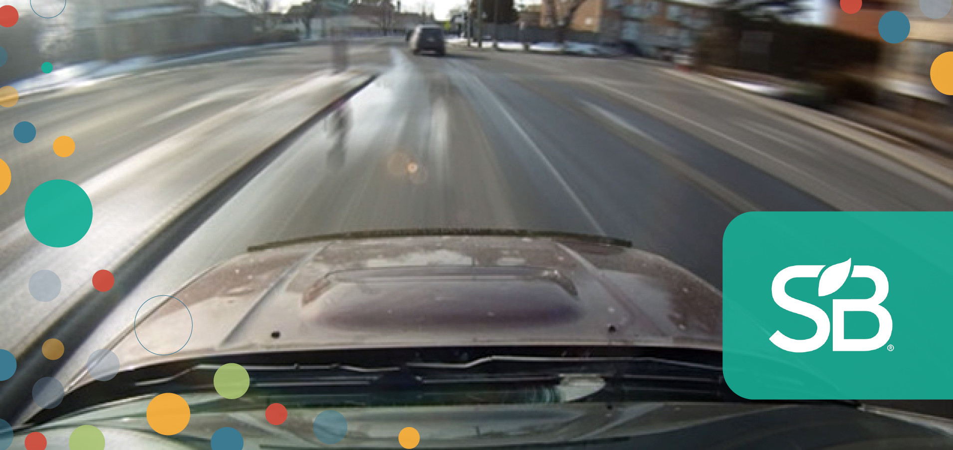 Paying It Forward: How DMV.org Is Taking Sustainability to the Streets