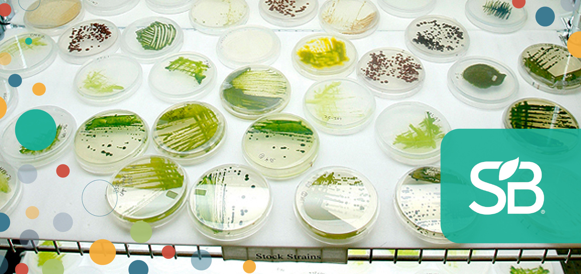 Solazyme and Unilever Sign Supply Agreement for Tailored Algal Oil