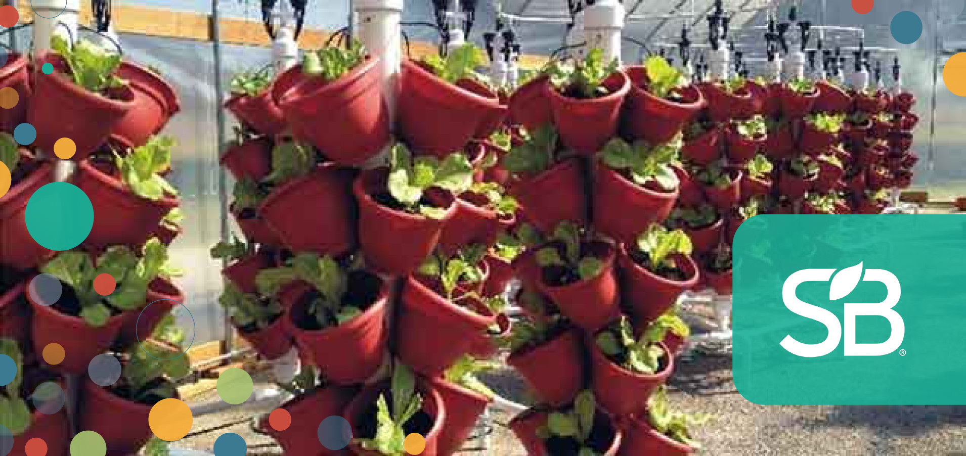 O2E Technologies: Turning the World's Waste Into Food and Fuel