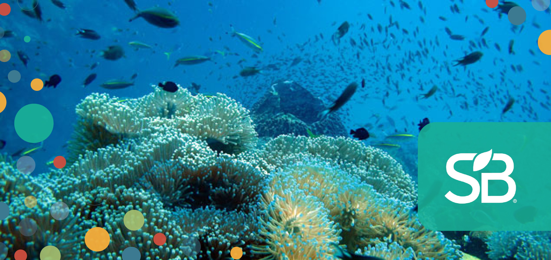 World Bank Says Businesses Must Collaborate to Help Save Oceans