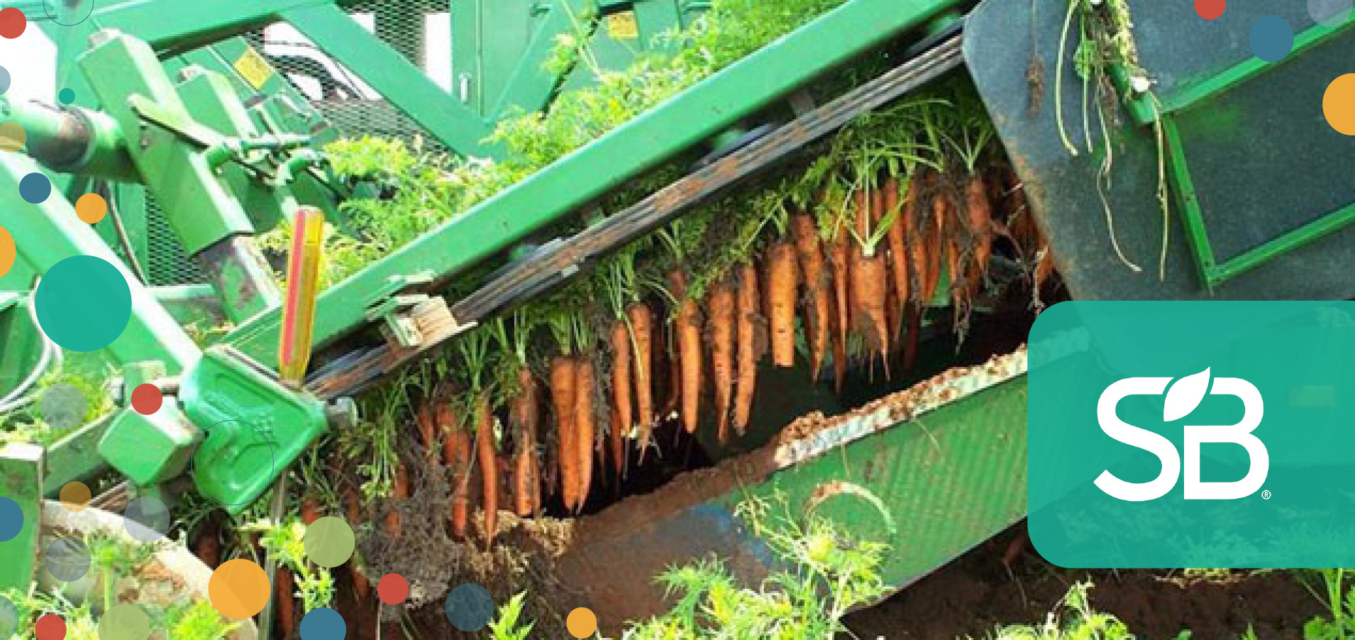 Del Monte Foods Partners with Wisconsin Growers, Suppliers and Second ...