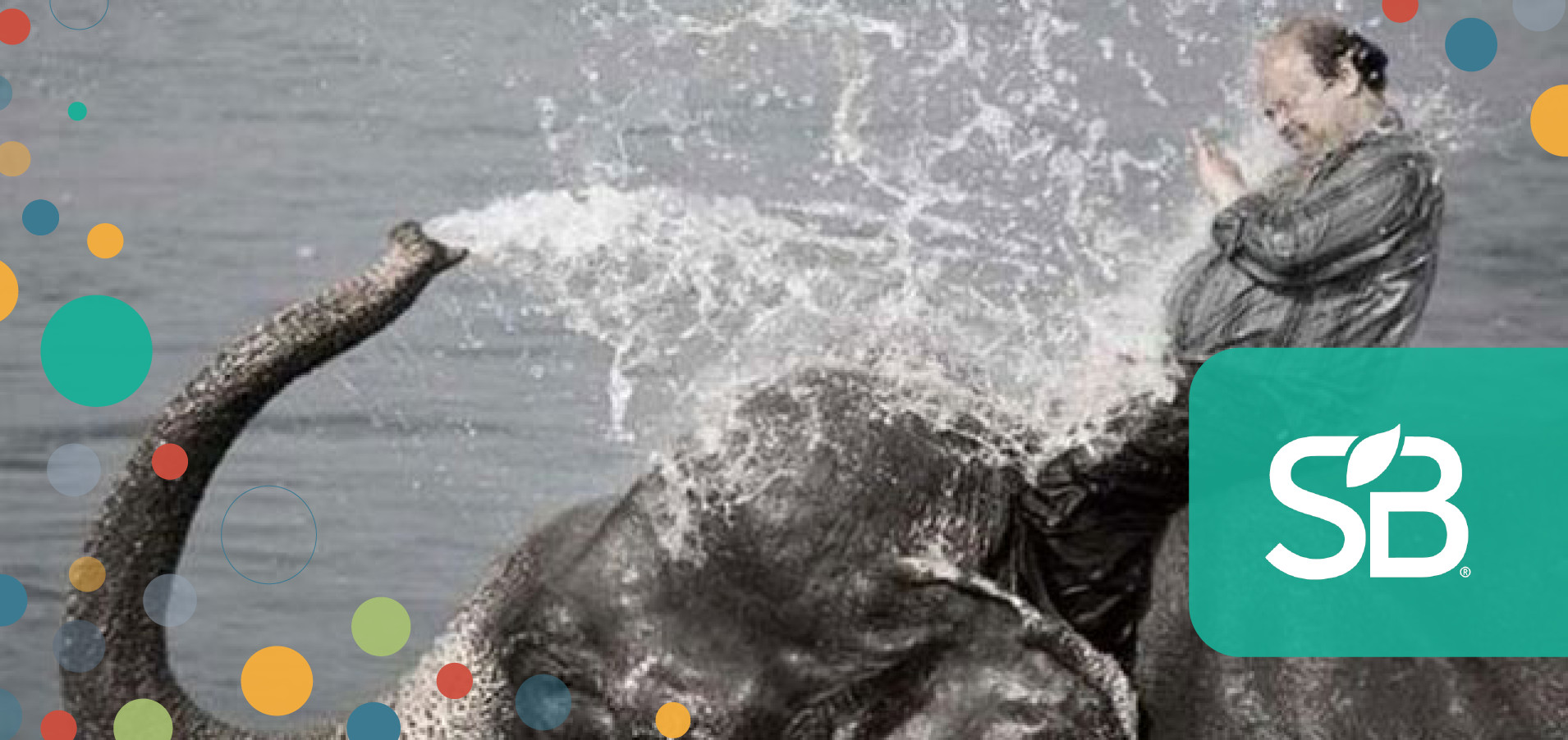 Employee Engagement: Why Motivating the Elephant Is Better Than ...