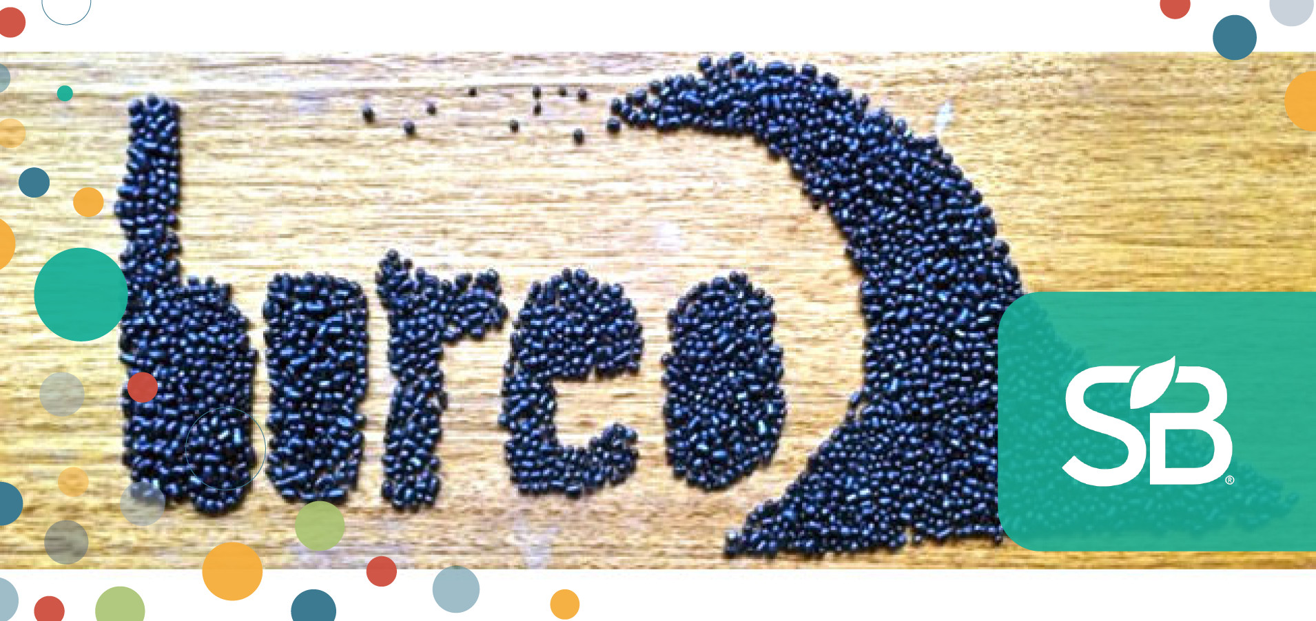 Bureo Poised to Make Waves of Change in the Skateboard Industry