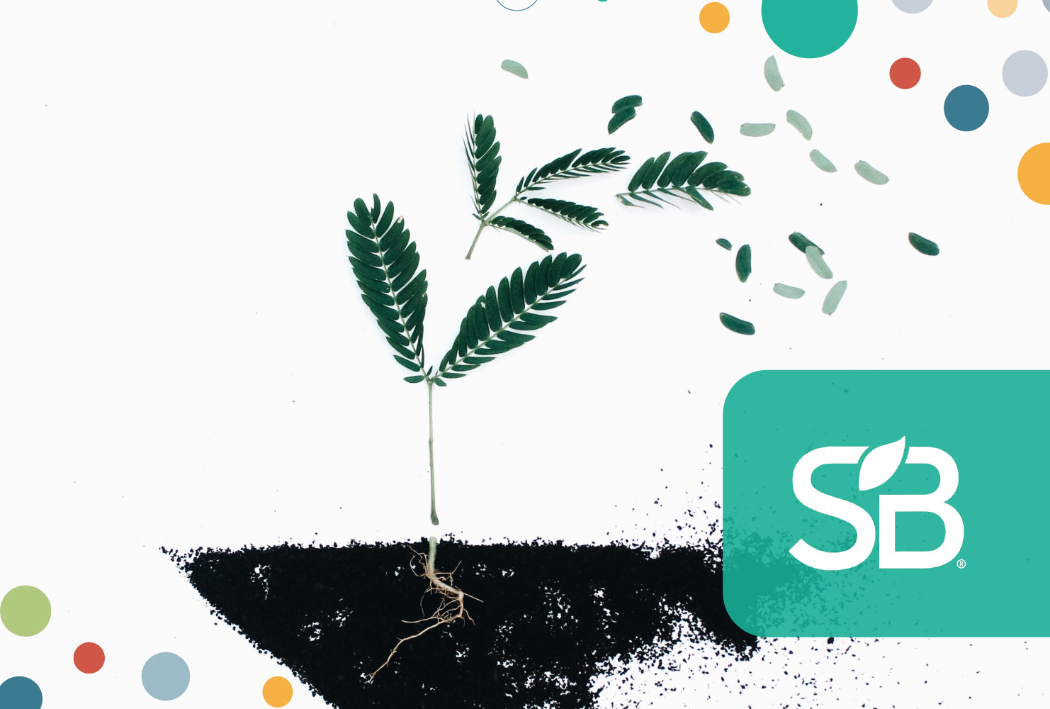 Danone sets 2030 Goals for long-term sustainable value creation ...