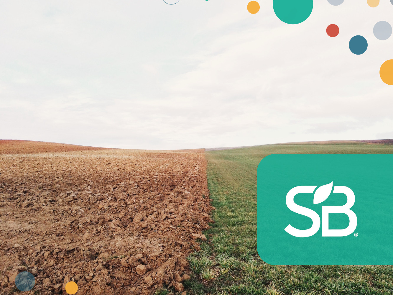 3M Forms Sustainability and Product Stewardship Organization; Names Dr ...