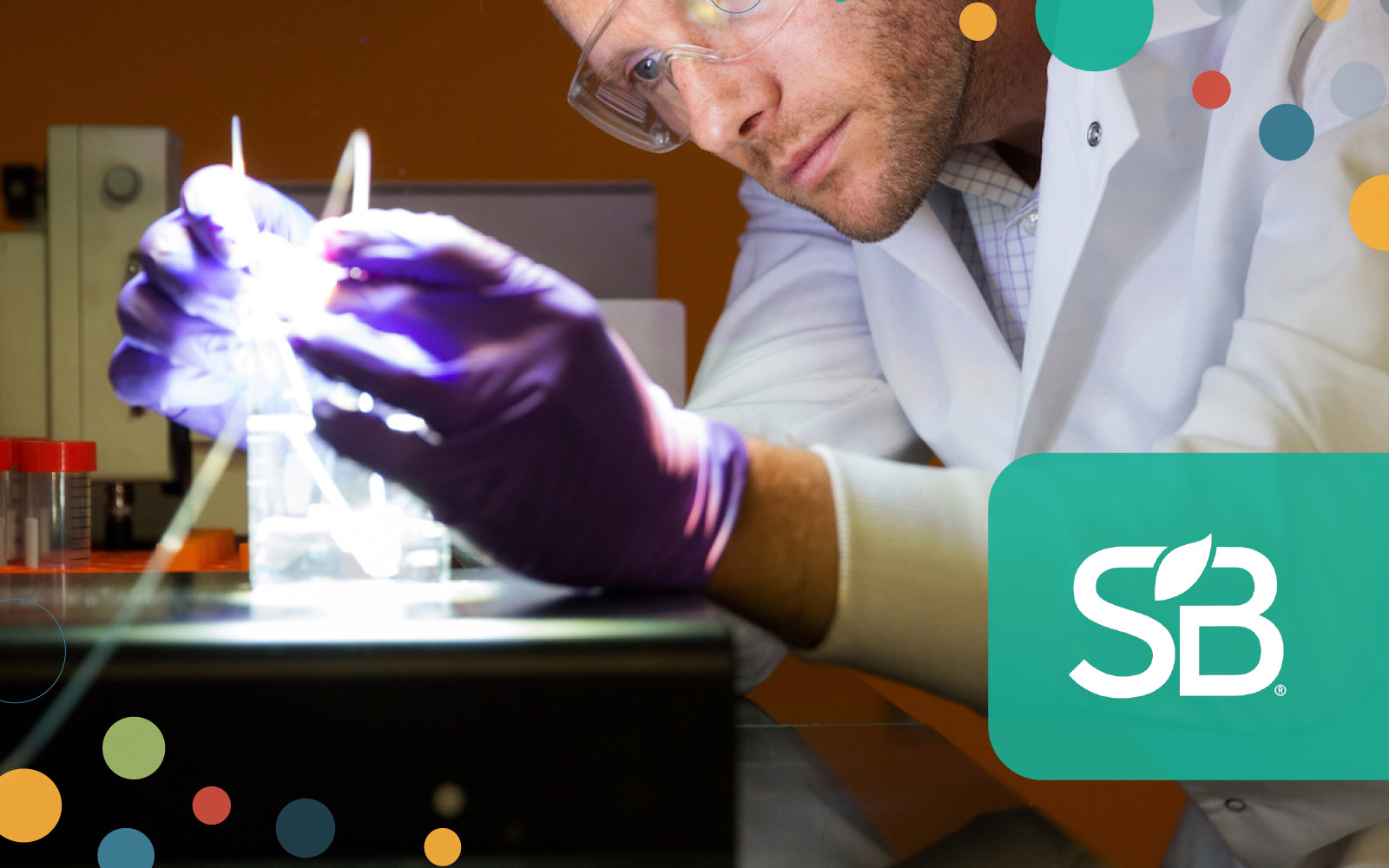 BASF recognized as a UN Global Compact LEAD company and SDG Pioneer