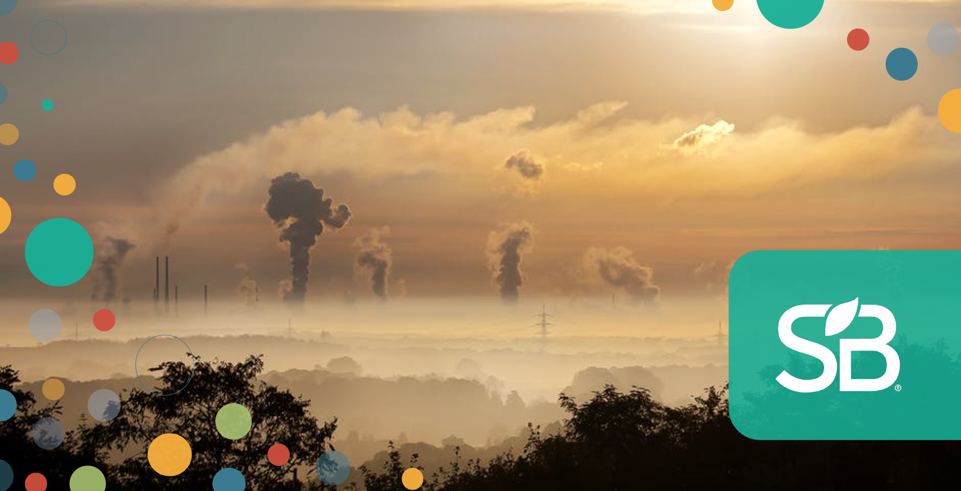 Powered by Partnership: Procter & Gamble and Constellation Complete 50 ...