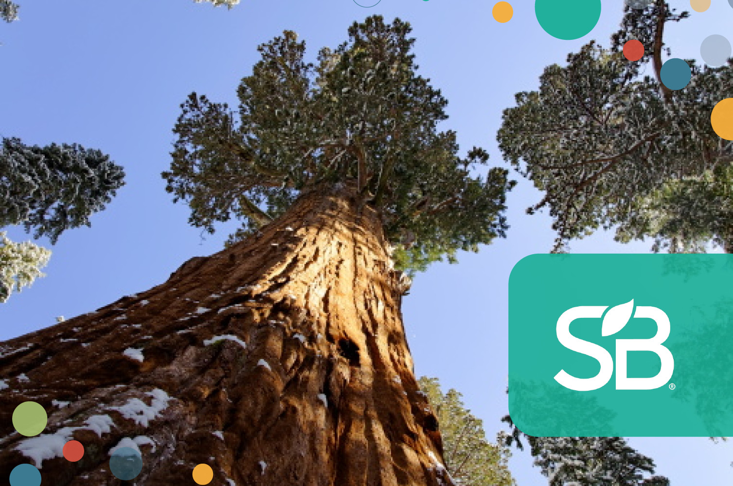 Arbor Day Foundation: Planting Trees and Inspiration