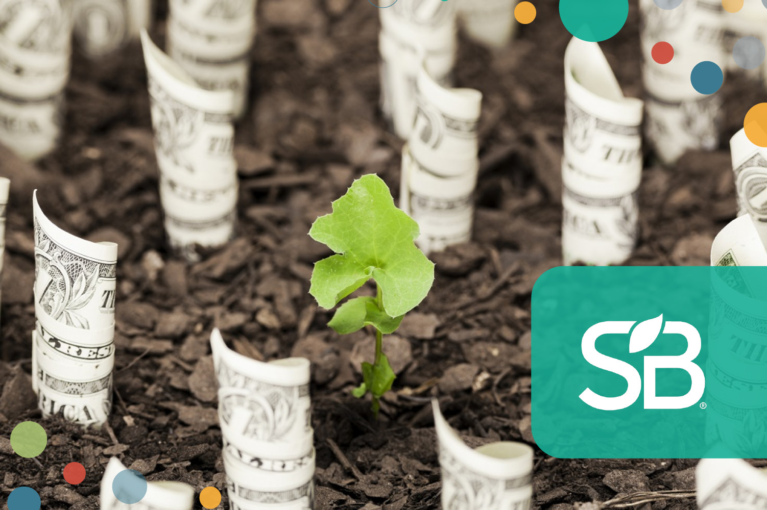 5 Things you can do now to drive sustainability deeper across you brand ...