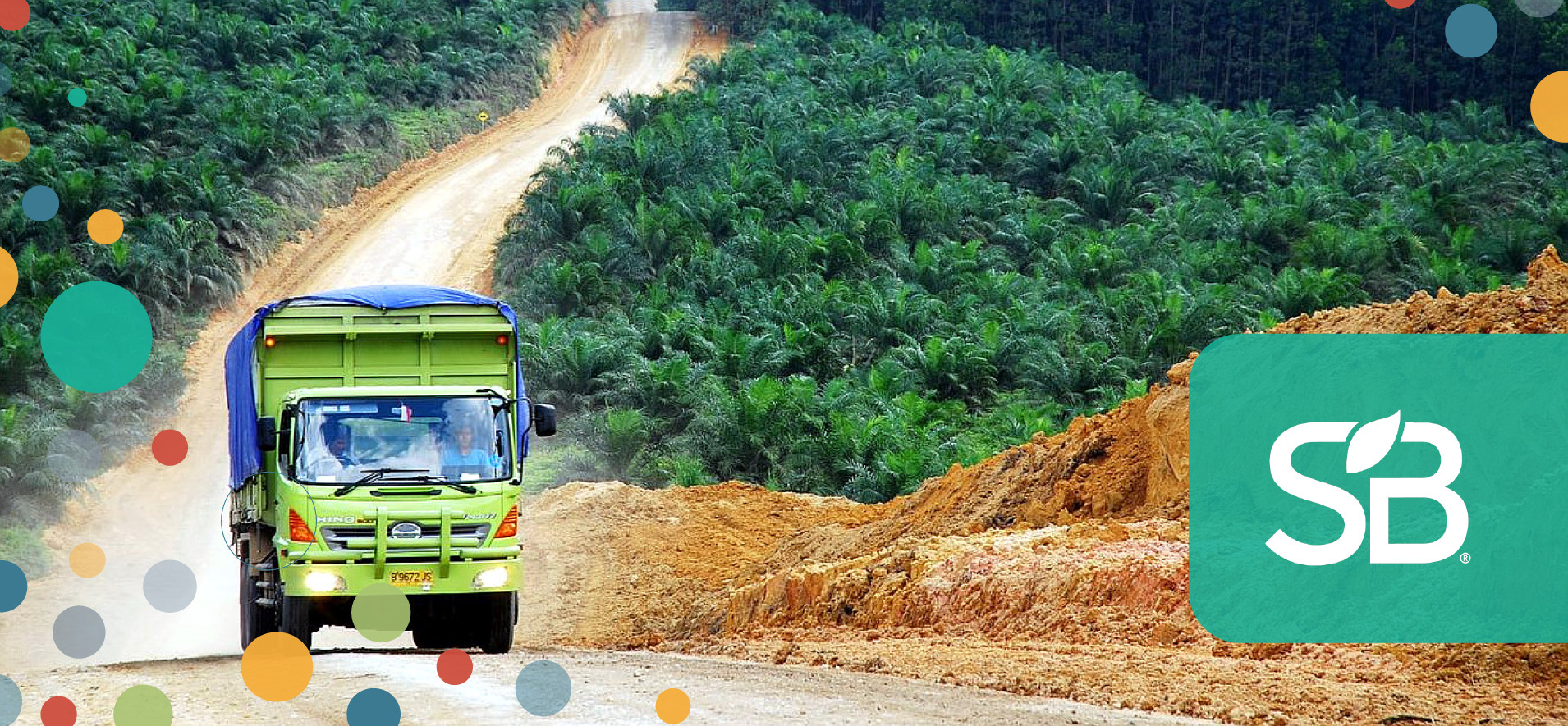 Tracking Your Forest Sustainability Efforts Is Now Affordable, Fast ...