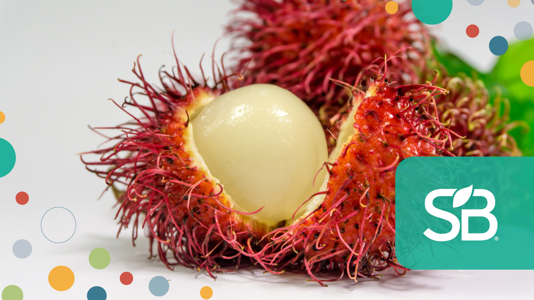 Rambutan Program: BASF Launches Bioactives from Responsible Beauty Program