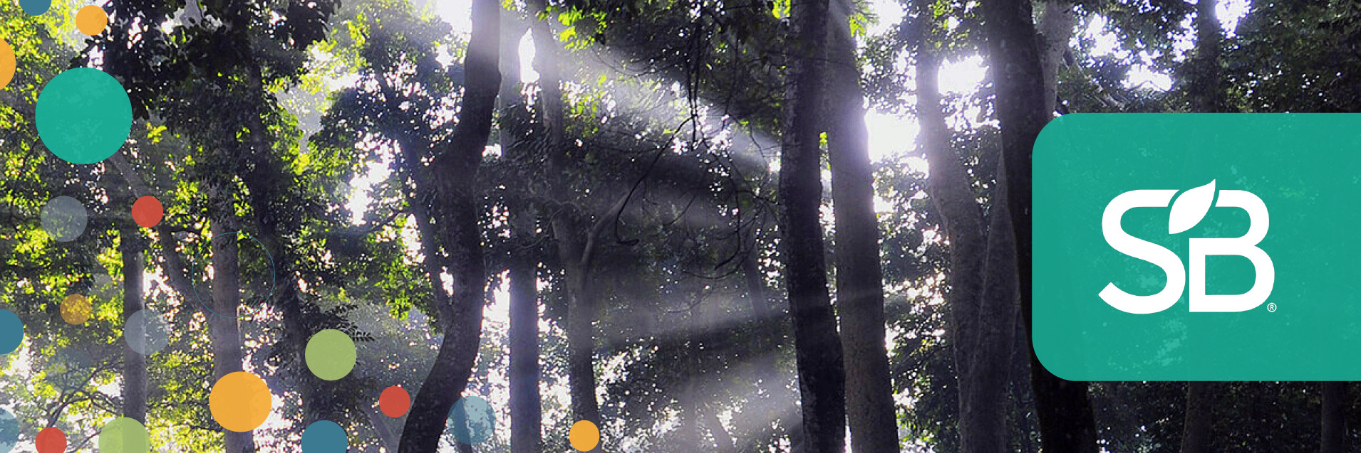 CDP: World’s Biggest Companies Face US$1T in Climate Change Risks