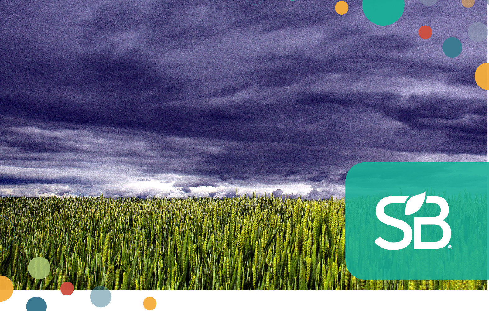 7 Things to Know About the IPCC’s Special Report on Climate Change and Land