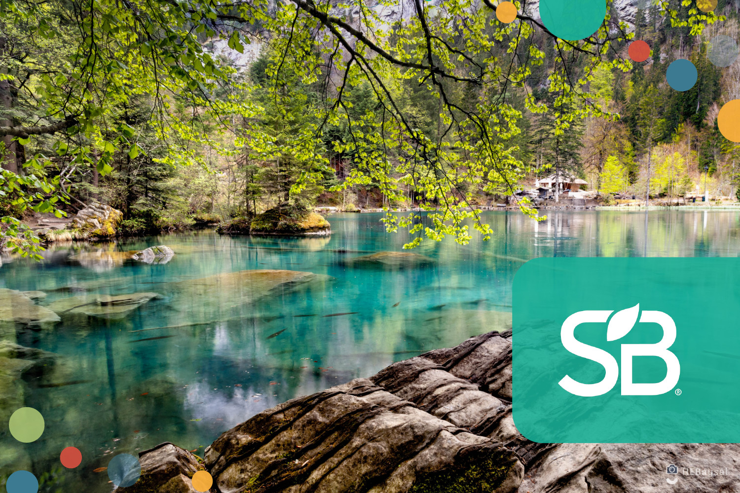 Nielsen - Celebrating Earth Week 2019: Thinking Global but Acting Local