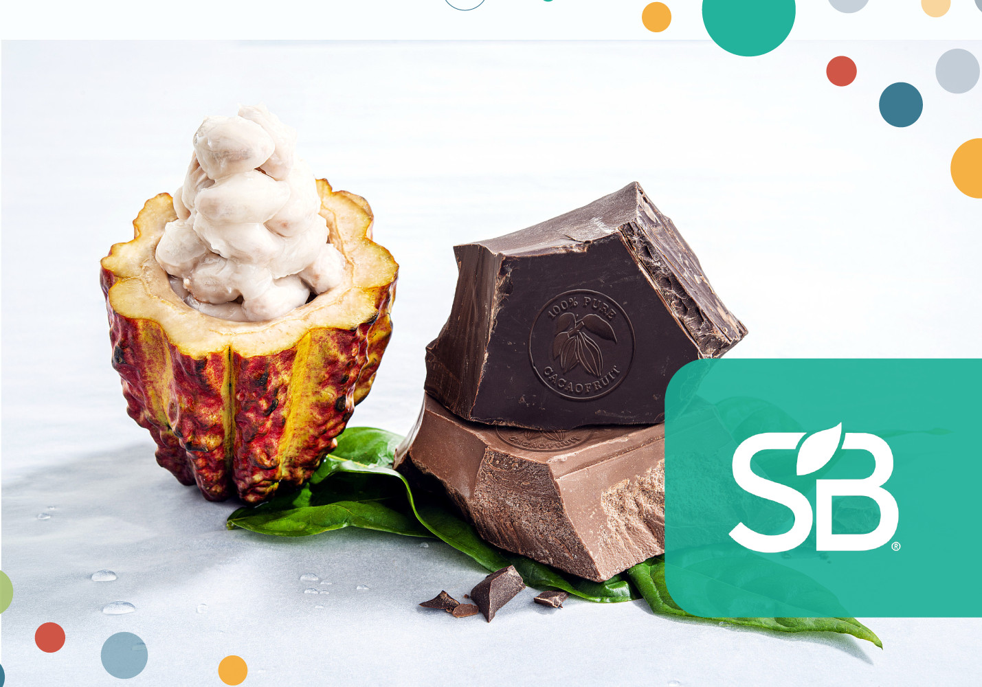 New Chocolate, Ingredients from Barry Callebaut Utilize Whole Cacao Fruit