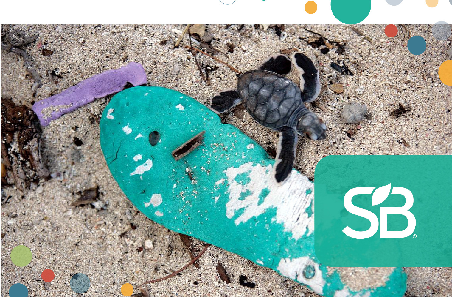 WWF’s ReSource Hub: A System-Wide Feedback Loop for Solving Plastic ...