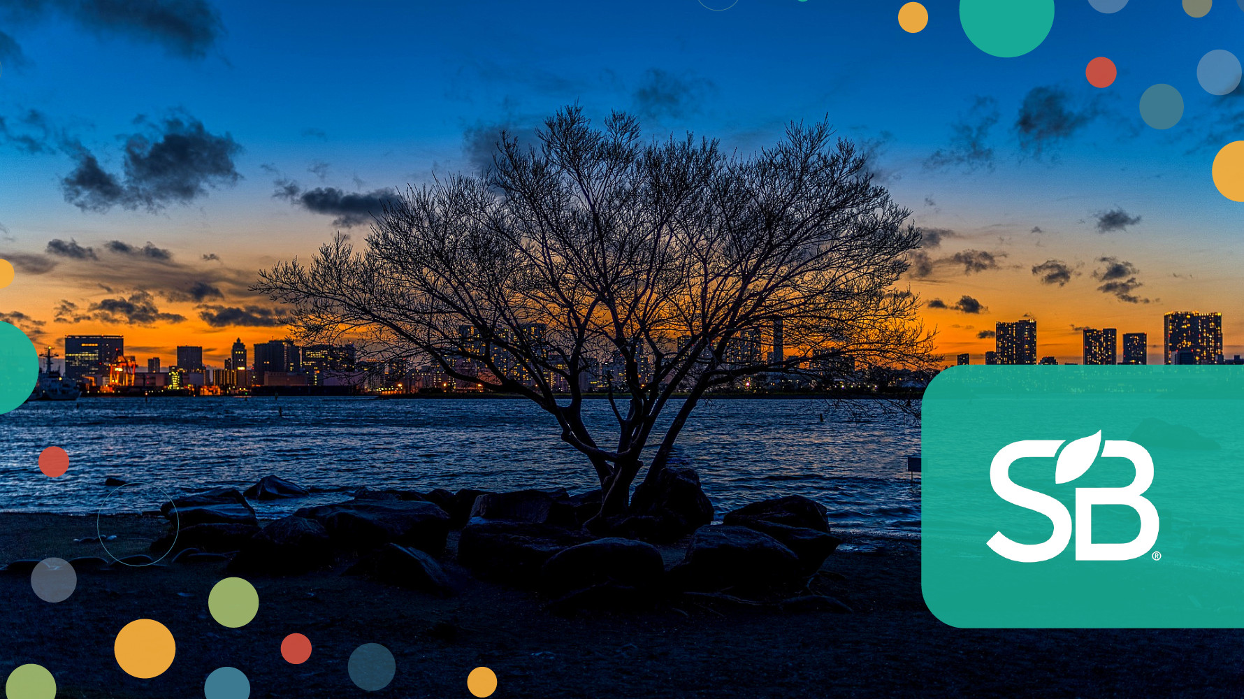 94 Mayors Recognize Global Climate Emergency, Support Global Green New Deal