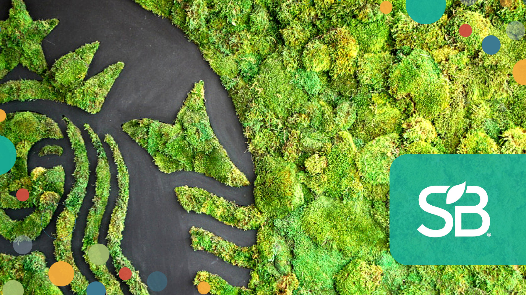 Starbucks Commits to a Resource-Positive Future, Giving More than It ...