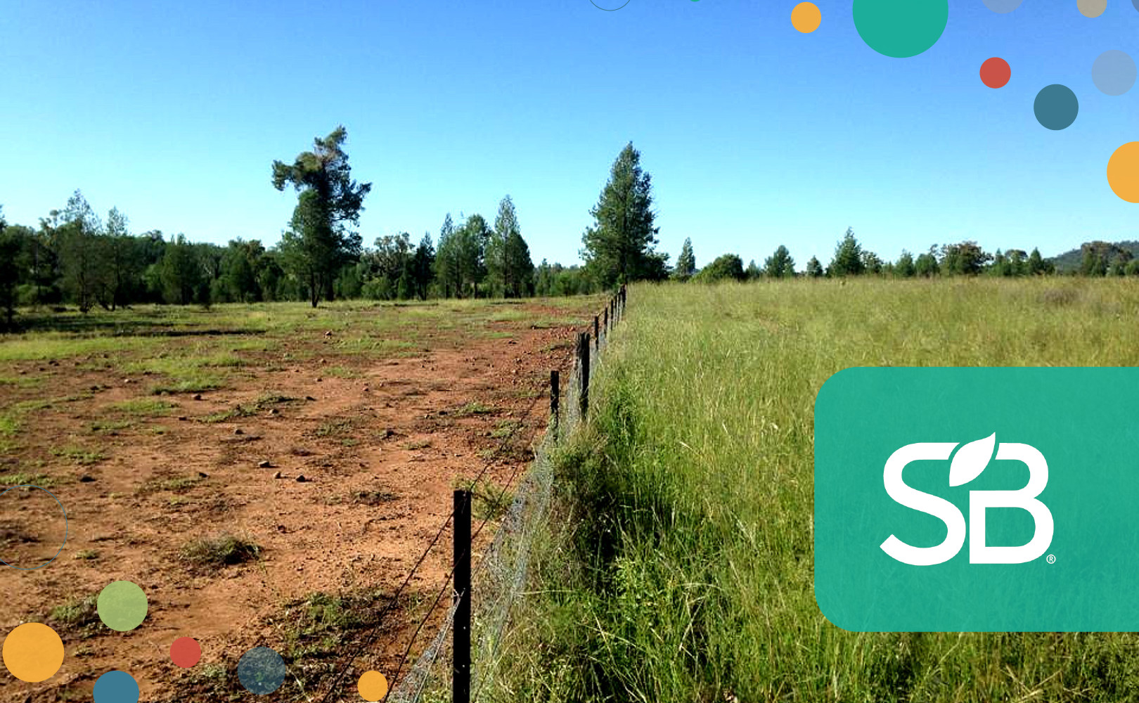 All Timberland Products to Be 100% Circular, Net Positive by 2030