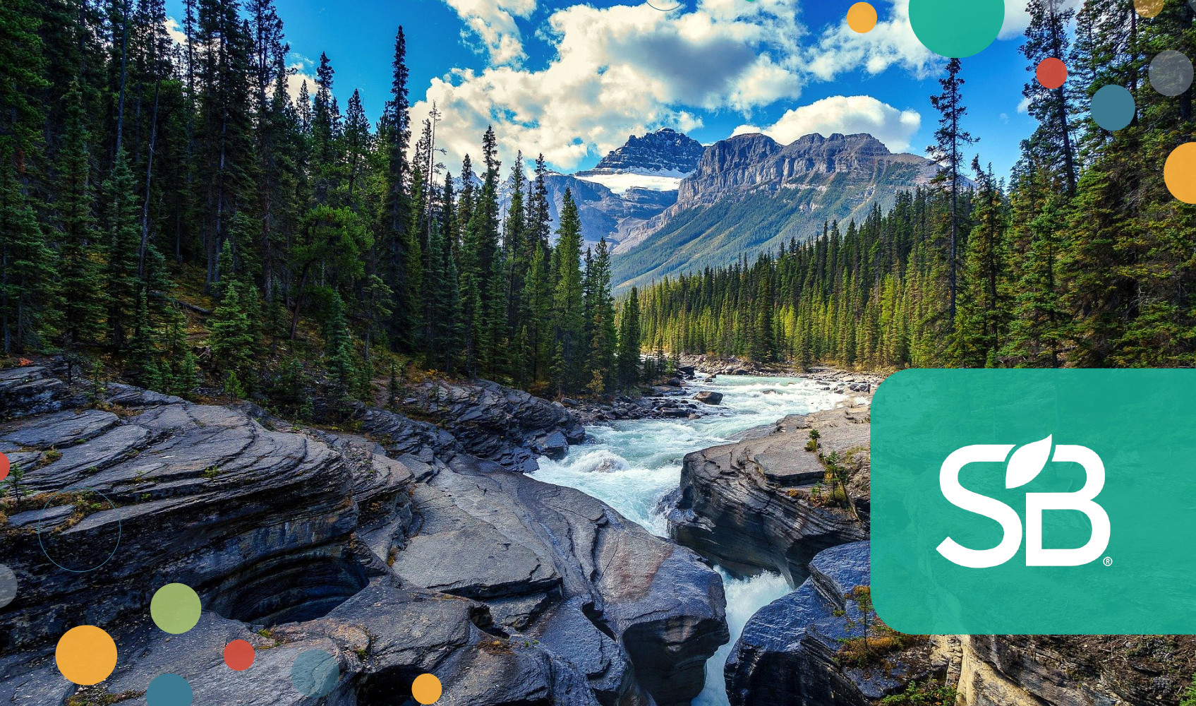 Introducing the Natural Next Step for Science-Based Targets