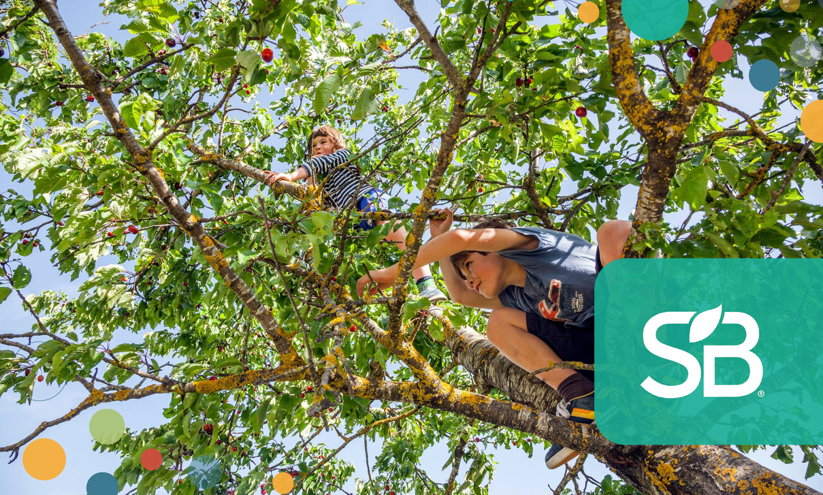 Food Rescuers Shouldn't Fight Over Limited Supply; Instead, Diversify