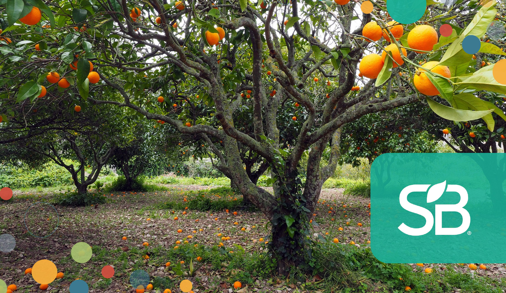 PepsiCo Aims to Regeneratively Farm 7M Acres by 2030