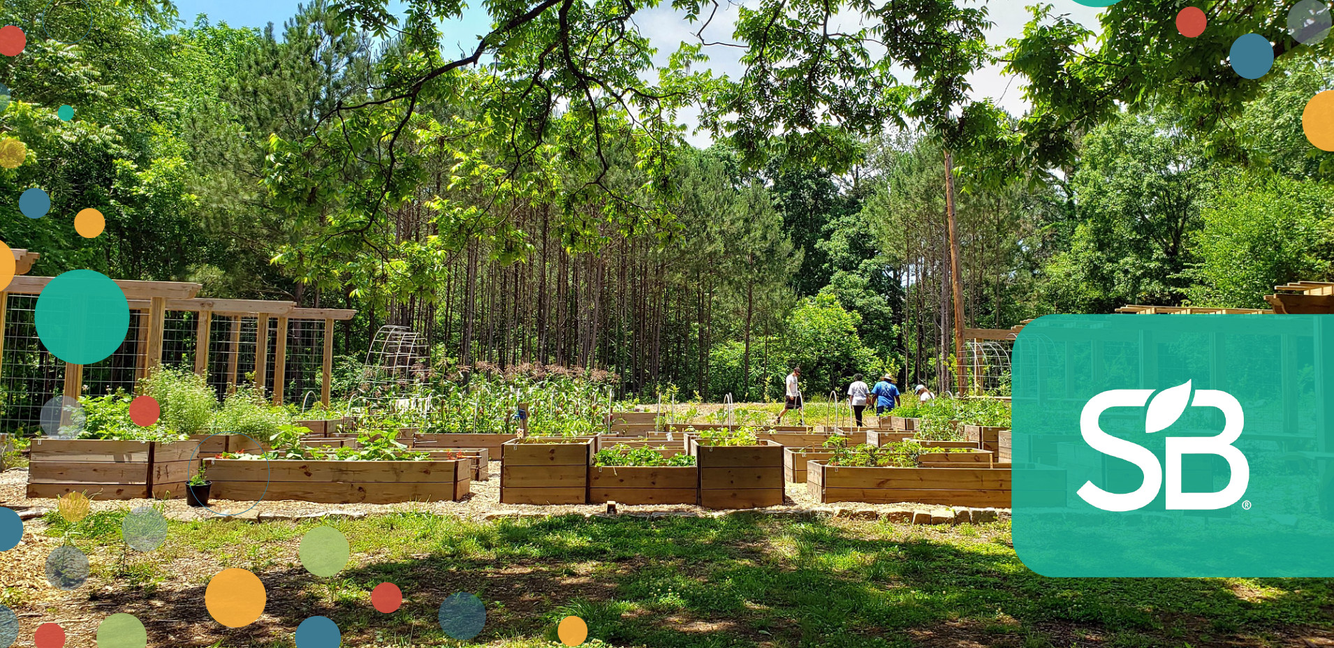 Atlanta’s Food Forest Pioneering Potential Solution to Urban Food Deserts