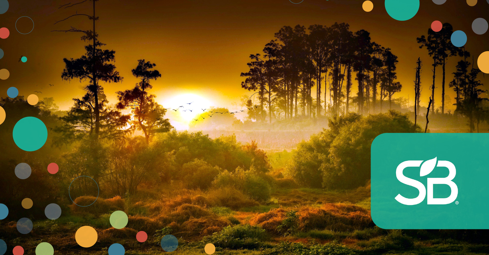 WWF’s ‘Forests Forward’ Helps Companies Deliver on Science-Driven ...