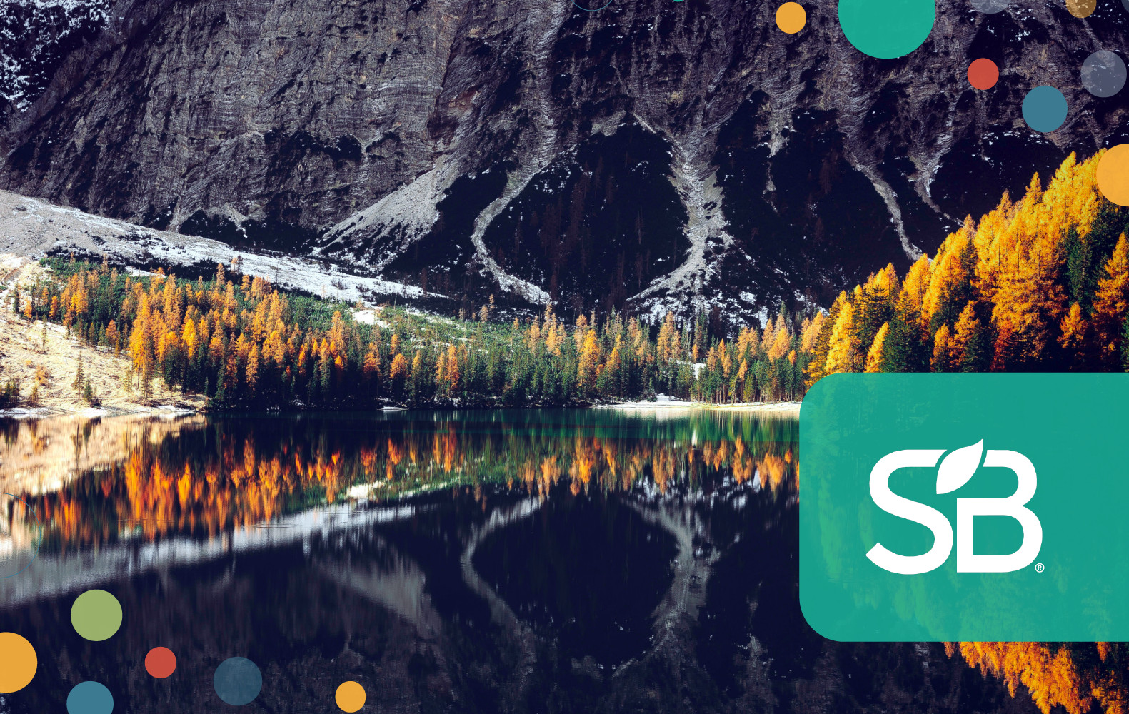 COP 2030 Deforestation Commitment: More Hot Air or Game-Changer for our ...