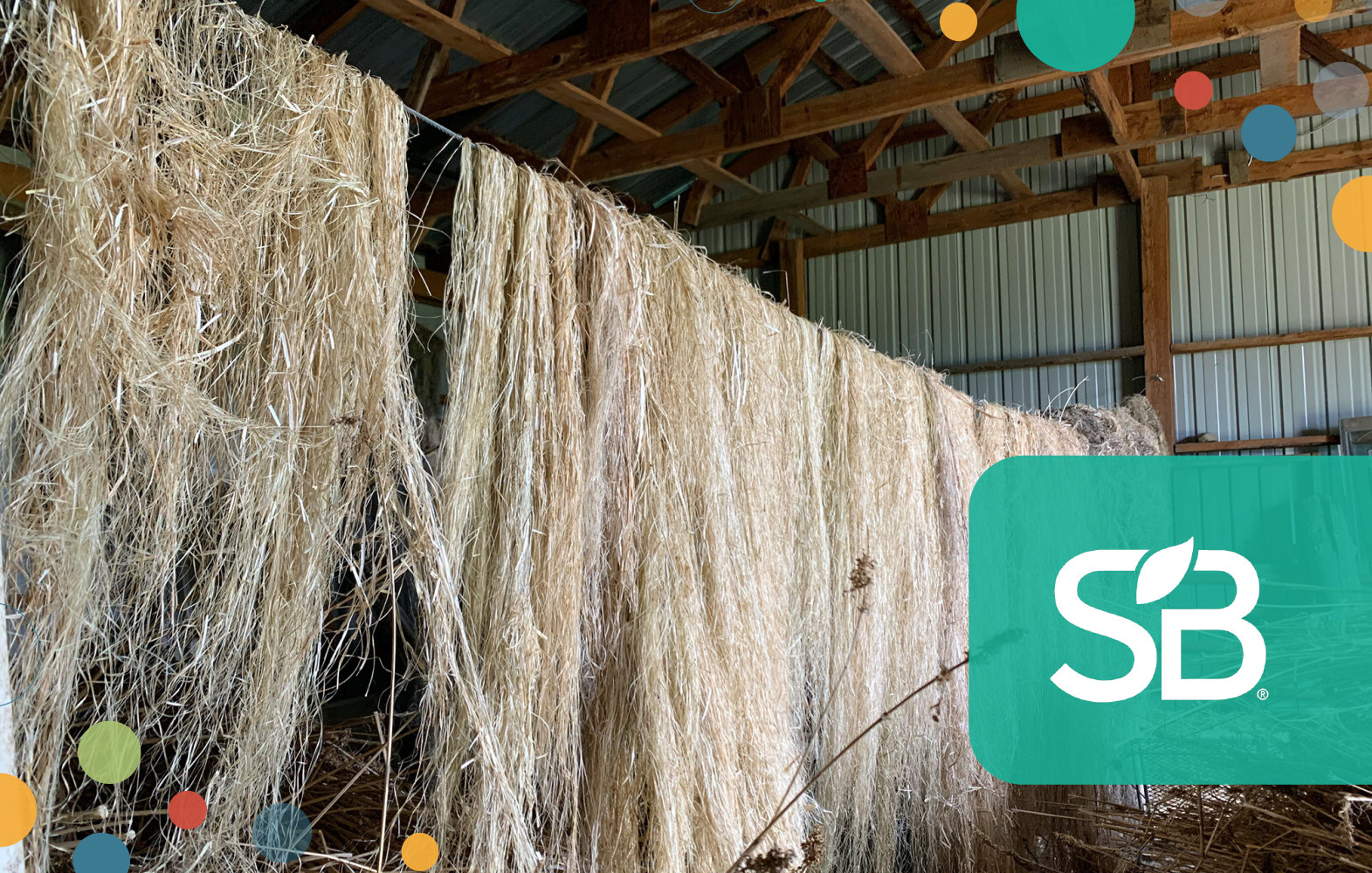 Parsons’ Healthy Materials Lab and Library Offers Resources for ...