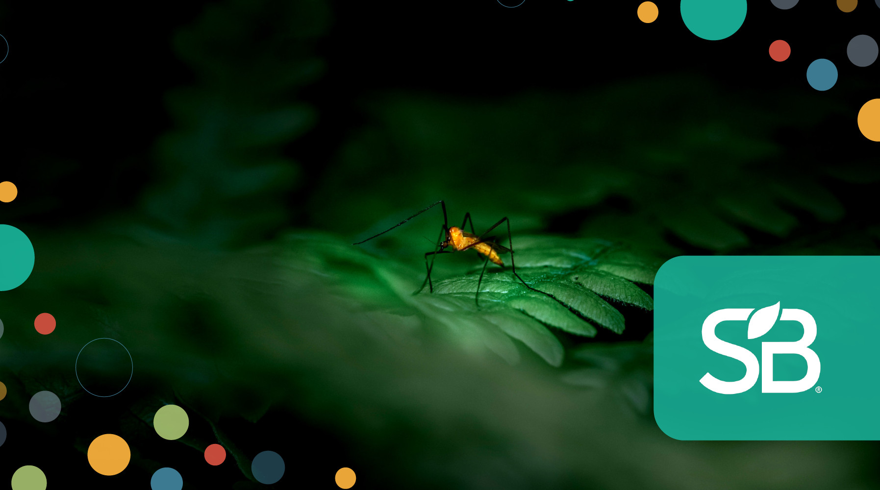 These ‘Friendly’ Insects Could Make Our Most Deadly, Destructive Pests ...