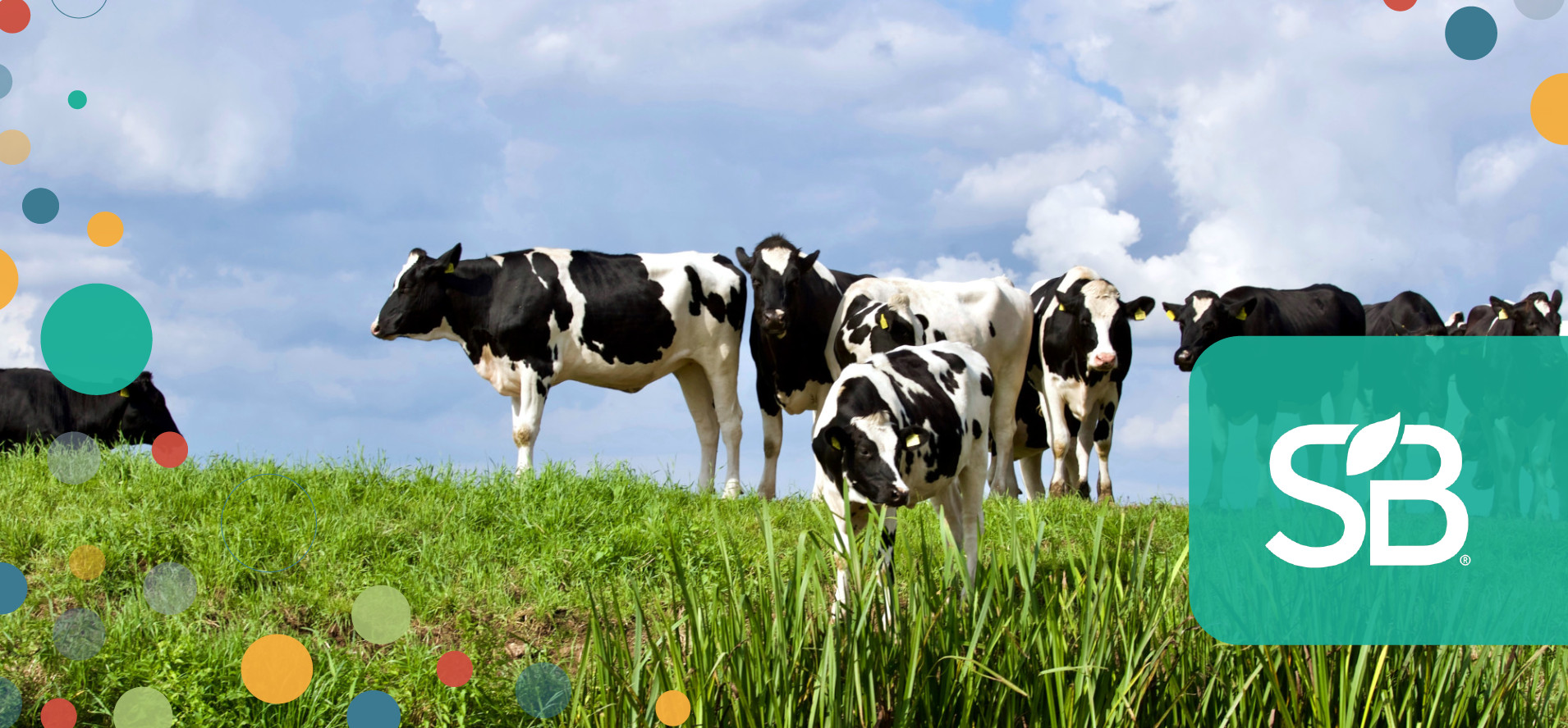 A Sustainable Moo-vement: How the Dairy Industry Is Fighting Climate Change