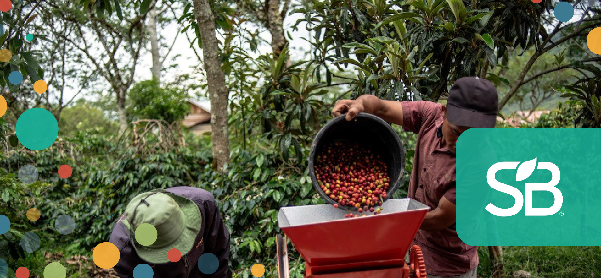 B Lab Aligns with IDH to Enable More Companies, Workers to Benefit from ...