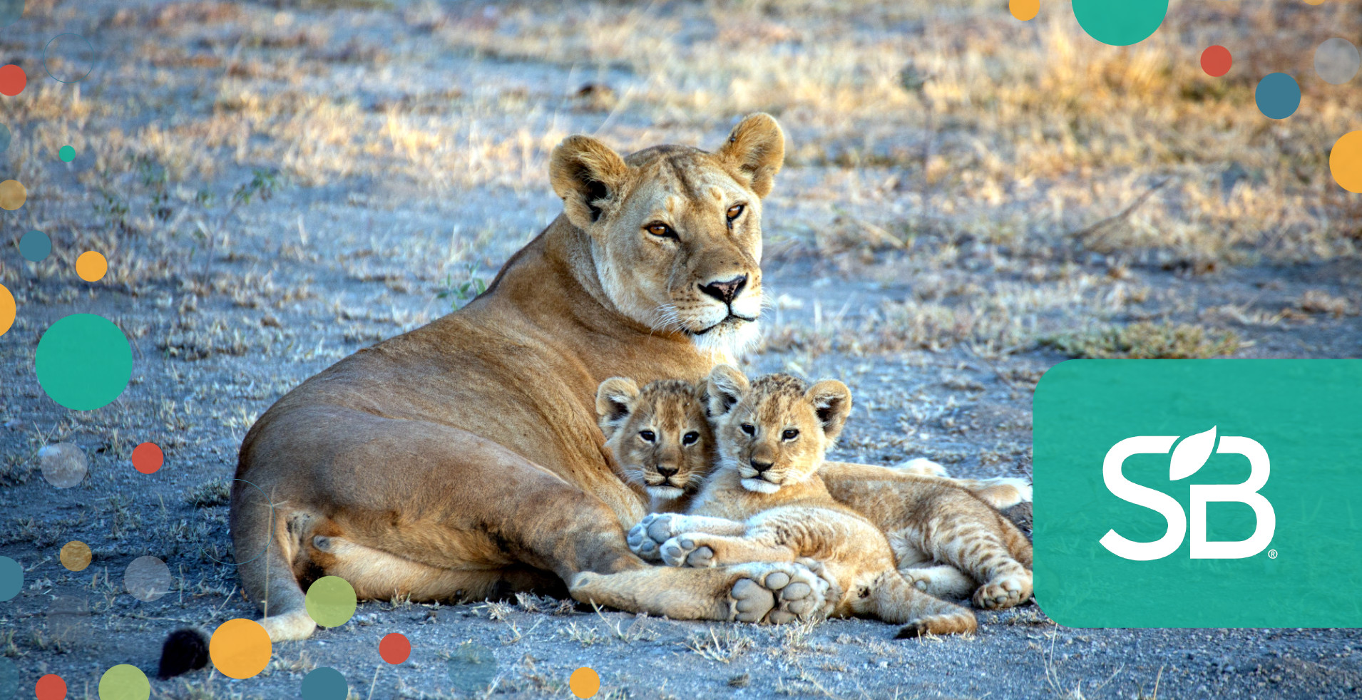 New Research Highlights the Importance of Evolving Wildlife Tourism ...