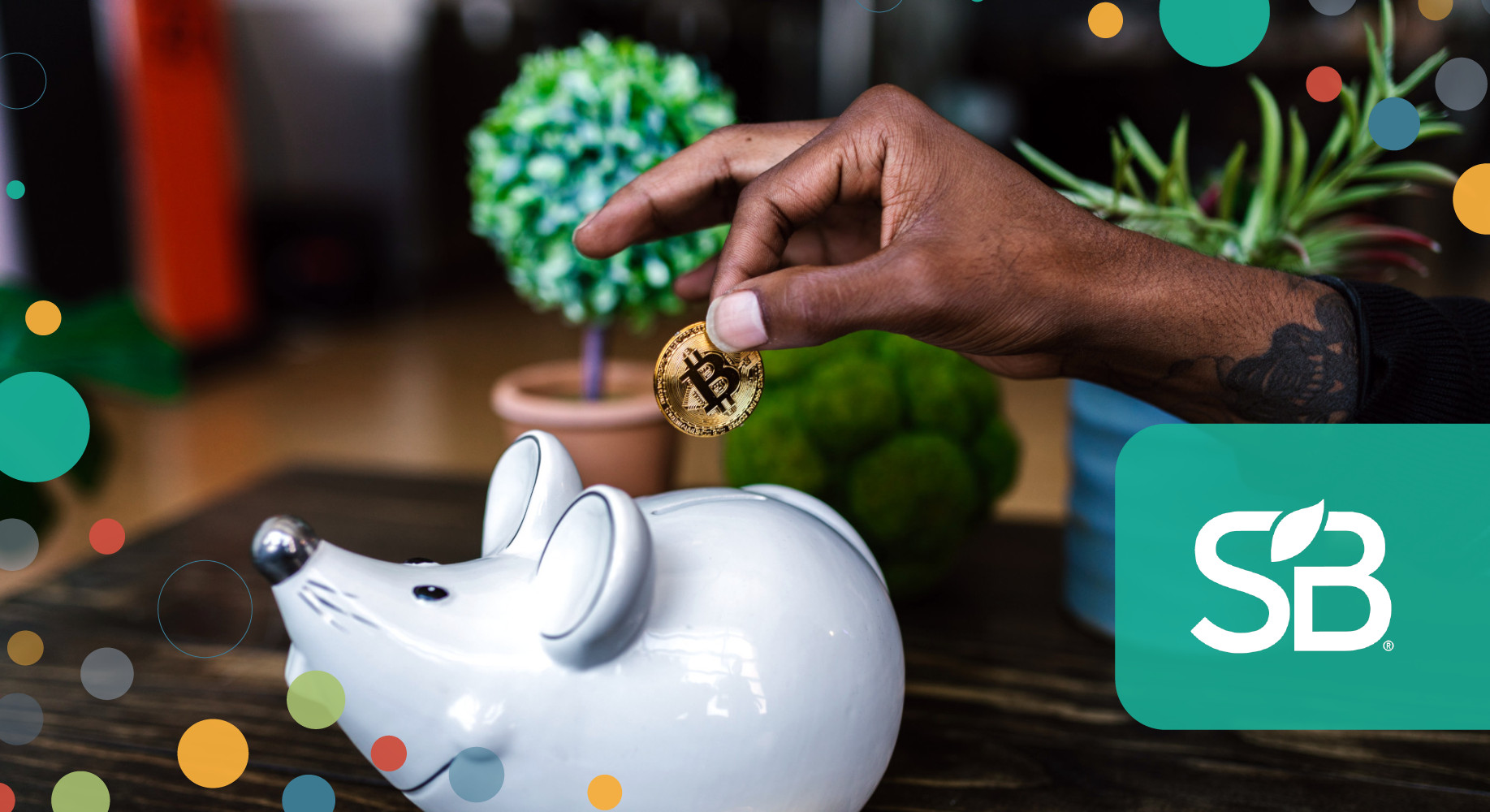 The Hidden Cost of Cryptocurrency and NFTs