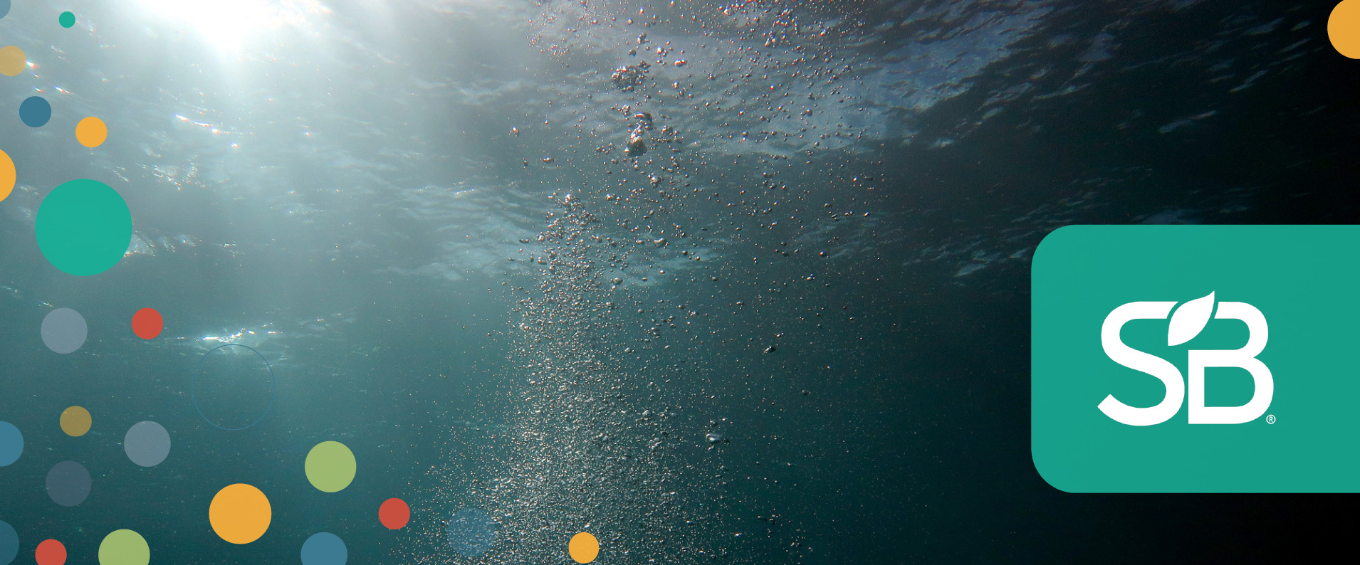 This Startup Is Enhancing the Ocean’s Ability to Store Carbon, Reversing Acidification