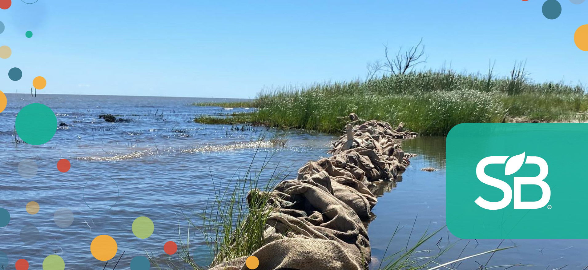 ‘Rivers Are Life’ Highlights Local River-Restoration Efforts with ...