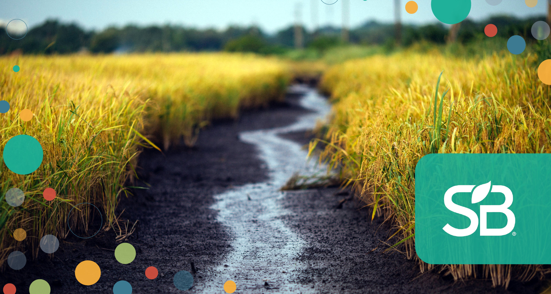 This Company Is Sowing the Seeds for a Scalable Regenerative Ag Revolution