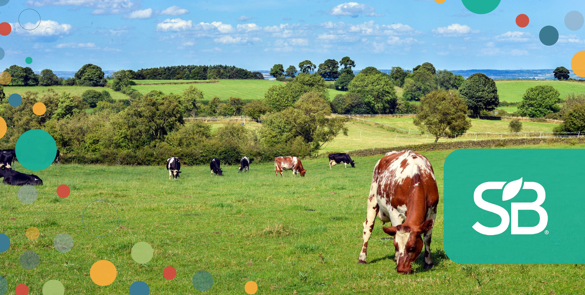 Can Regenerative Agriculture Regenerate the US Food System?