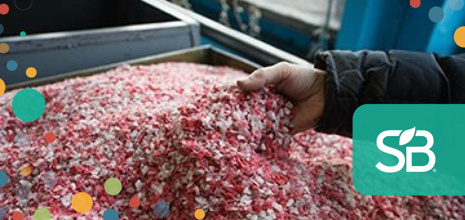 Dow and Valoregen collaborate to build largest hybrid recycling site in ...